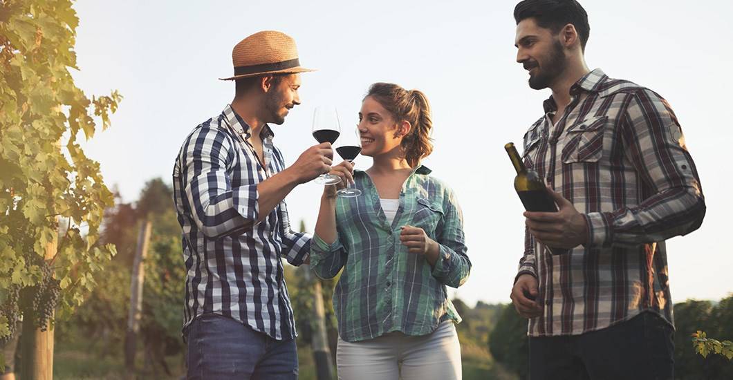 The Secret Bottle Beginner's Guide To Wine